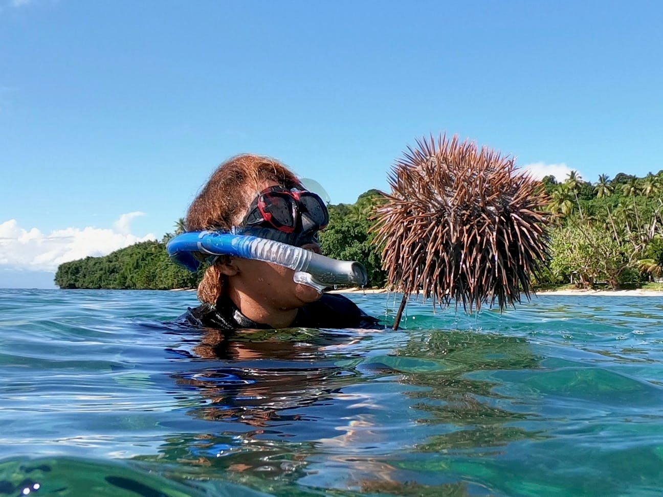 Verto Education Raises $6.3 Million Seed Round to Bring More College ...