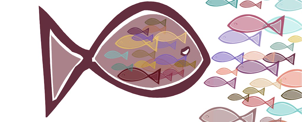 Renaissance Learning Buys Freckle Education to Expand Math Offerings ...