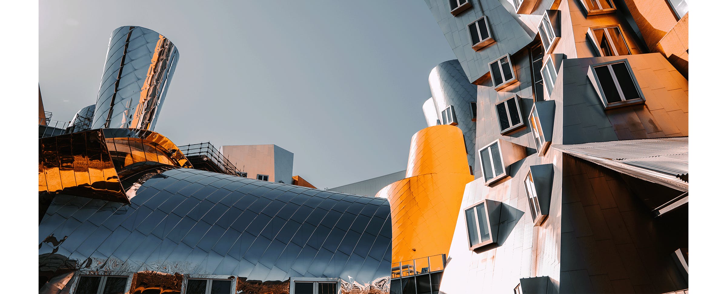 Can a Group of MIT Professors Turn a White Paper Into a New Kind of ...