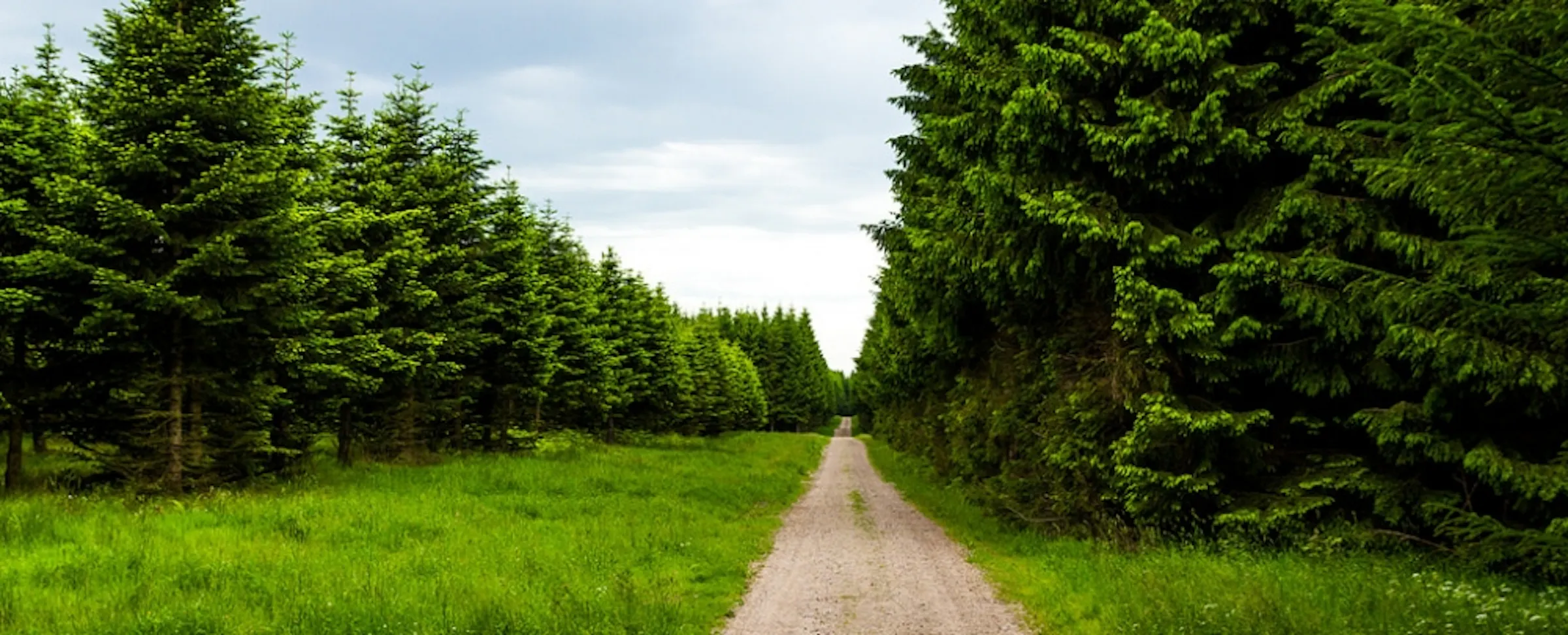 The Straight Path To Academic Achievement | EdSurge News