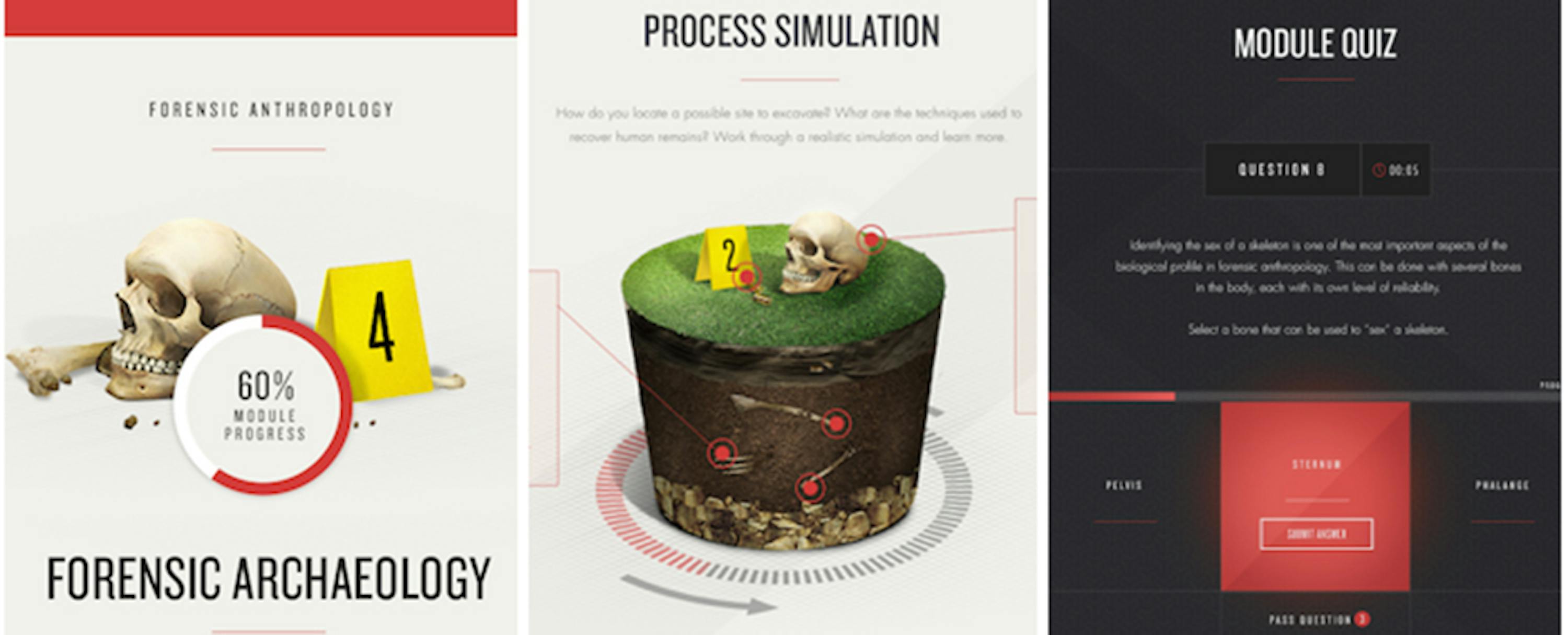 CSI in Your Classroom: Learning Ballistics and Physics from FBI Secret ...