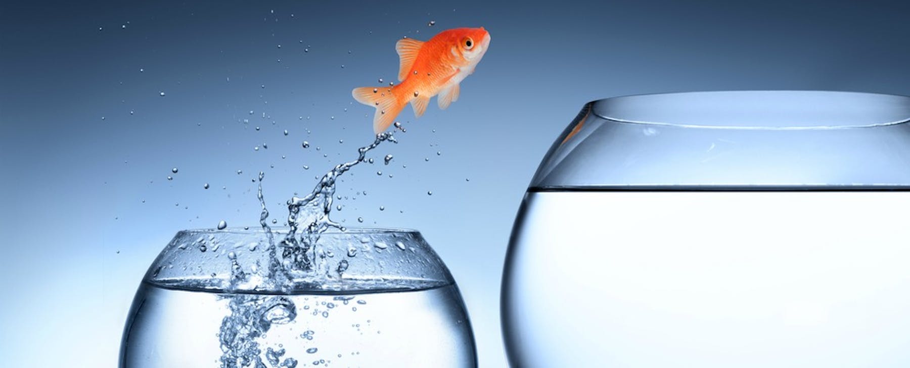 Want Adaptive Learning To Work? Encourage Adaptive Teaching. Here’s How ...